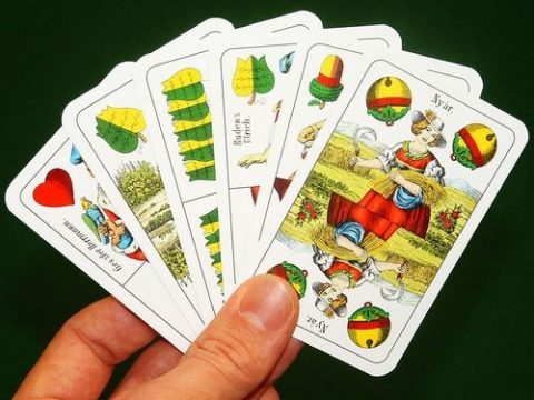 Schnapsen- An Excellent Card Game for 2 People | VIP Games
